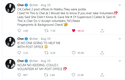 Cher Once Did Needlepoint; Now She Valiantly Defends the United States ...